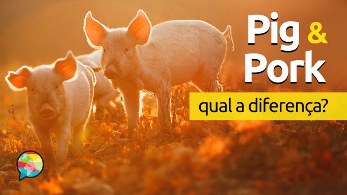 Qual a diferença entre Pig e Pork? - Mairo Vergara