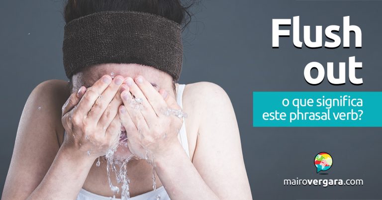 Flush Out | O que significa este phrasal verb? - Mairo Vergara