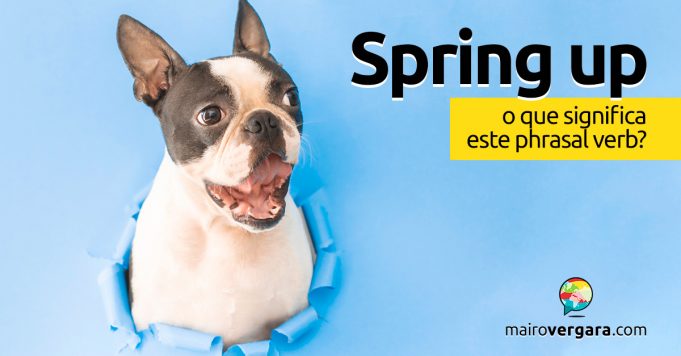 Spring Up | O que significa este phrasal verb? - Mairo Vergara