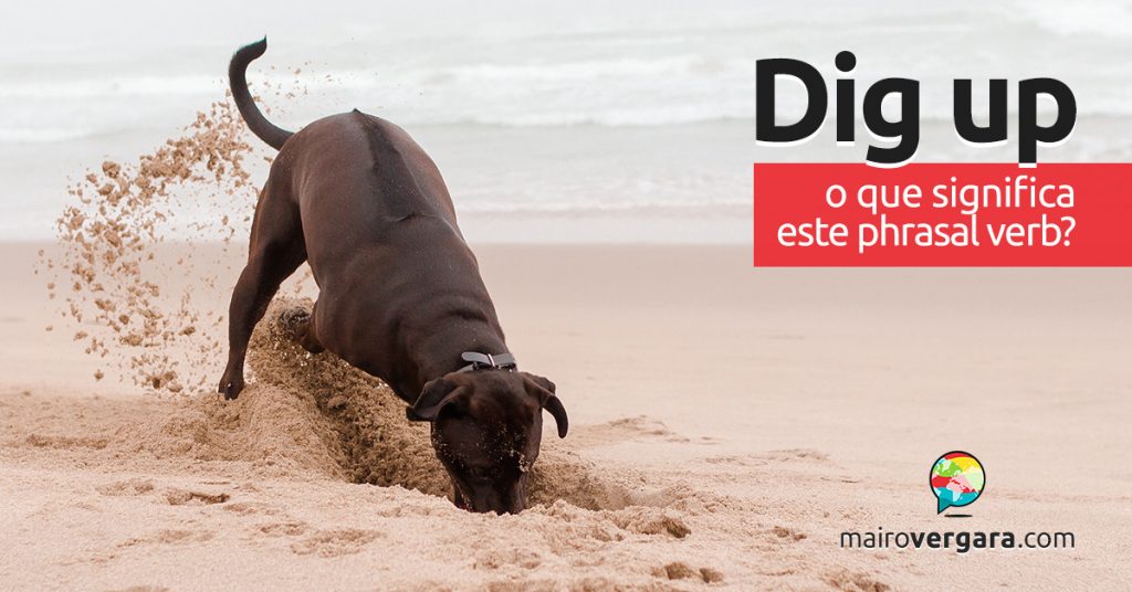 Dig Up | O que significa este phrasal verb? - Mairo Vergara