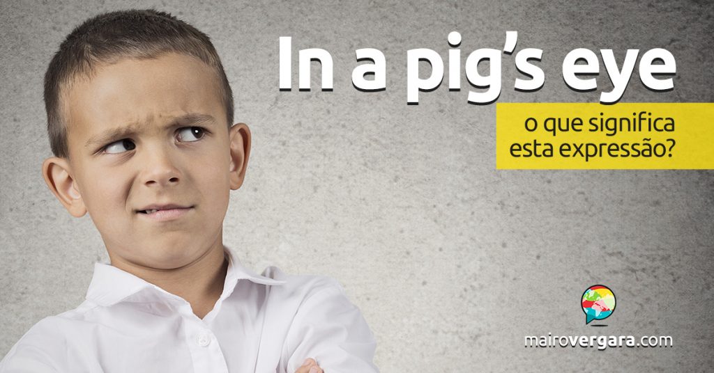 In a Pig’s Eye | O que significa esta expressão? - Mairo Vergara